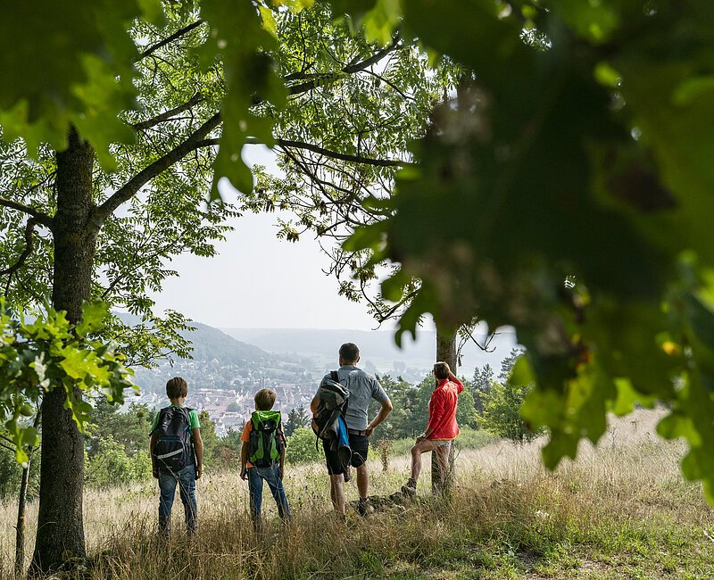 Top Sehenswürdigkeiten - Stadt Beilngries
